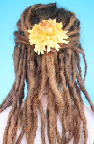 Dreadmonkey – Professional Natural Dreadlocks and Dread Maintenance ...